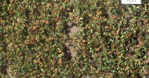 Model Tree Foliage and Ground Cover Sheets Autumn MiniNatur 980-23