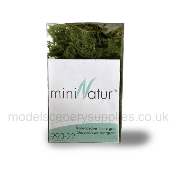 Model Ground cover Bracken Fern DARK miniNatur 996-22