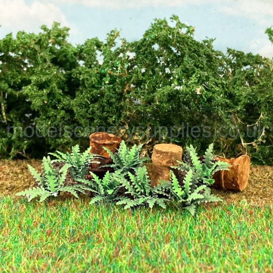 Model Fern plants