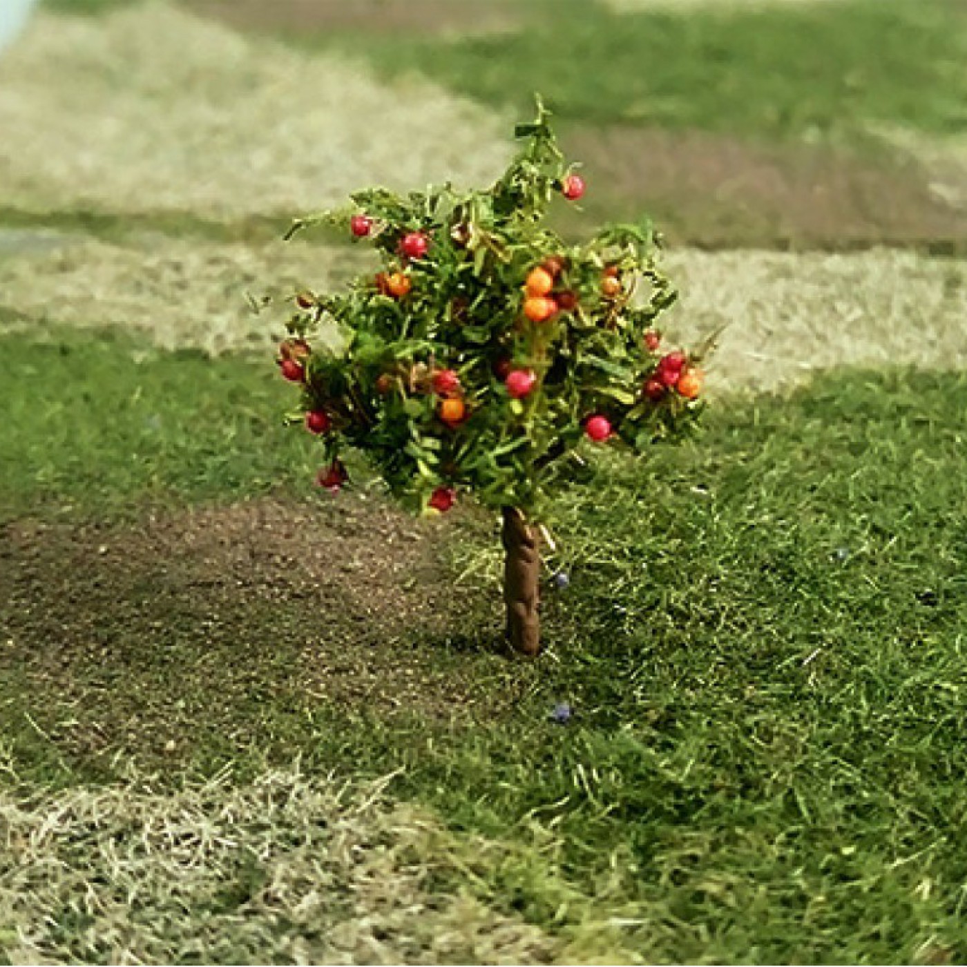 Model railway Apple Trees in N gauge