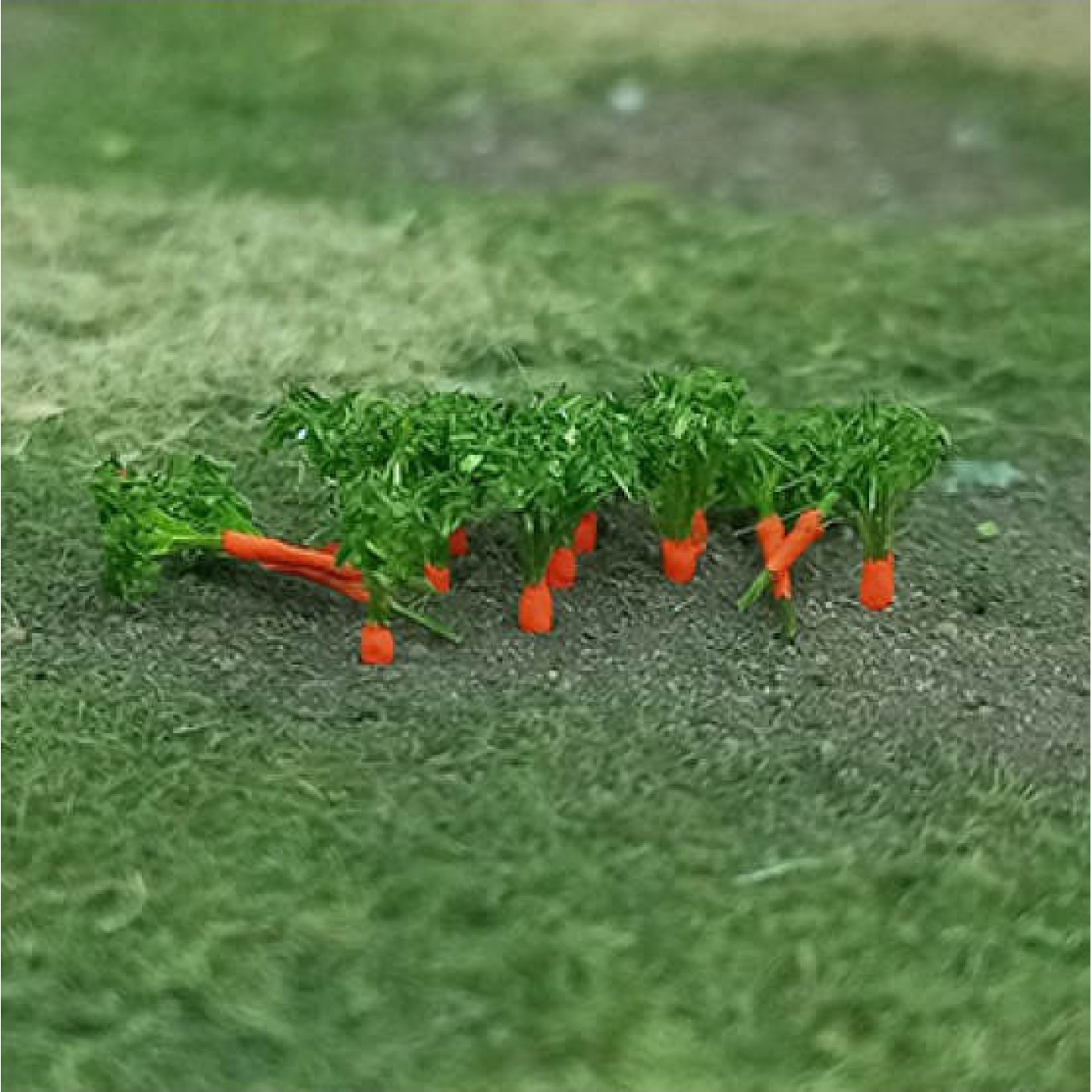 Model railway Carrot plants 01039