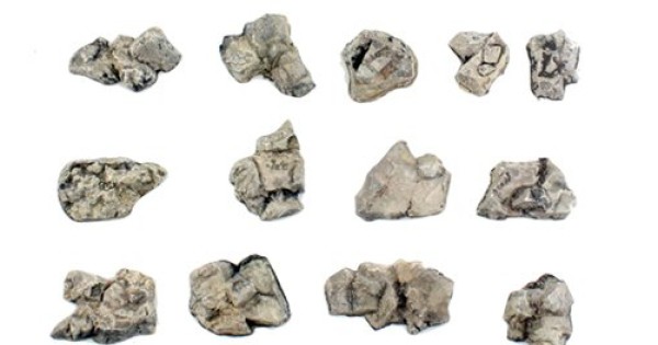 Ready Rocks Ready Rocks Boulder C1142