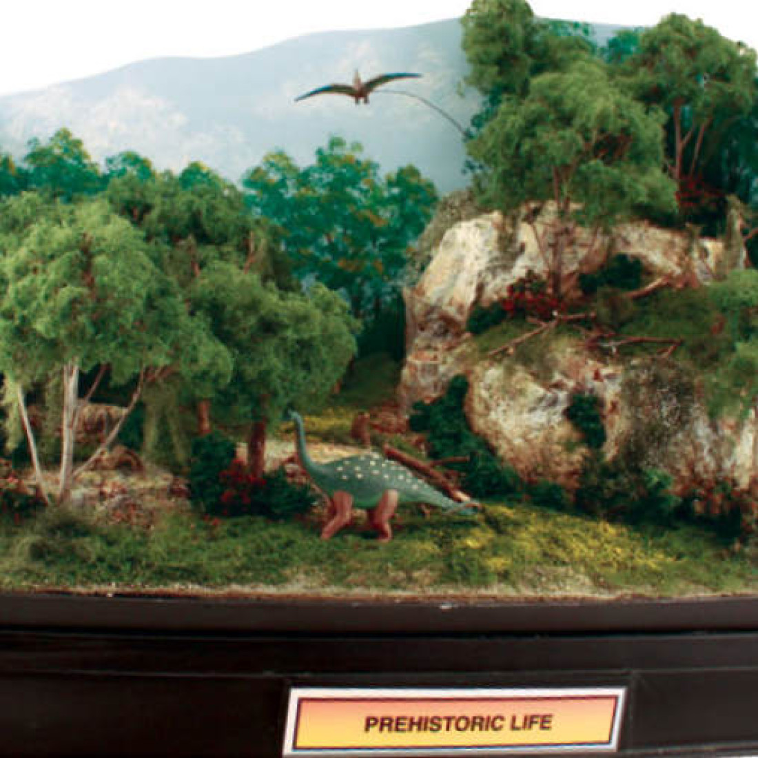 Model Dinosaurs for school project or diorama display.