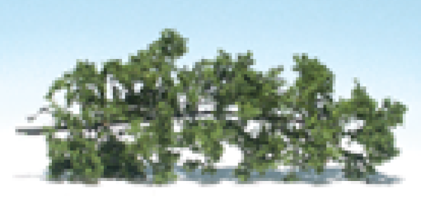 Woodland Scenics Fine-Leaf Foliage™