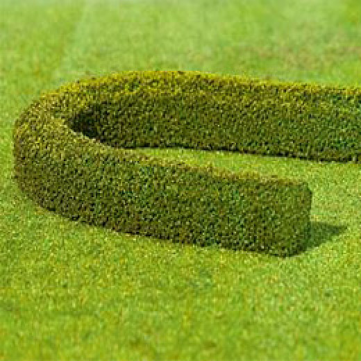 N Gauge Products (Including Z Gauge)