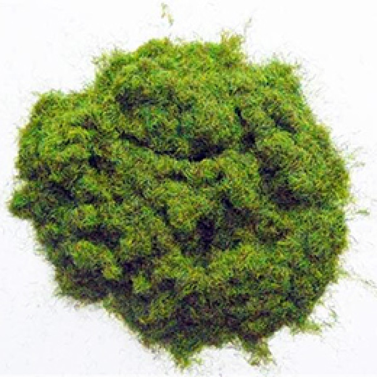 Static Grass and Grass Tufts