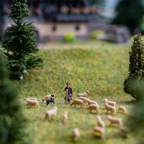 Peco Model scene Model sheep N gauge