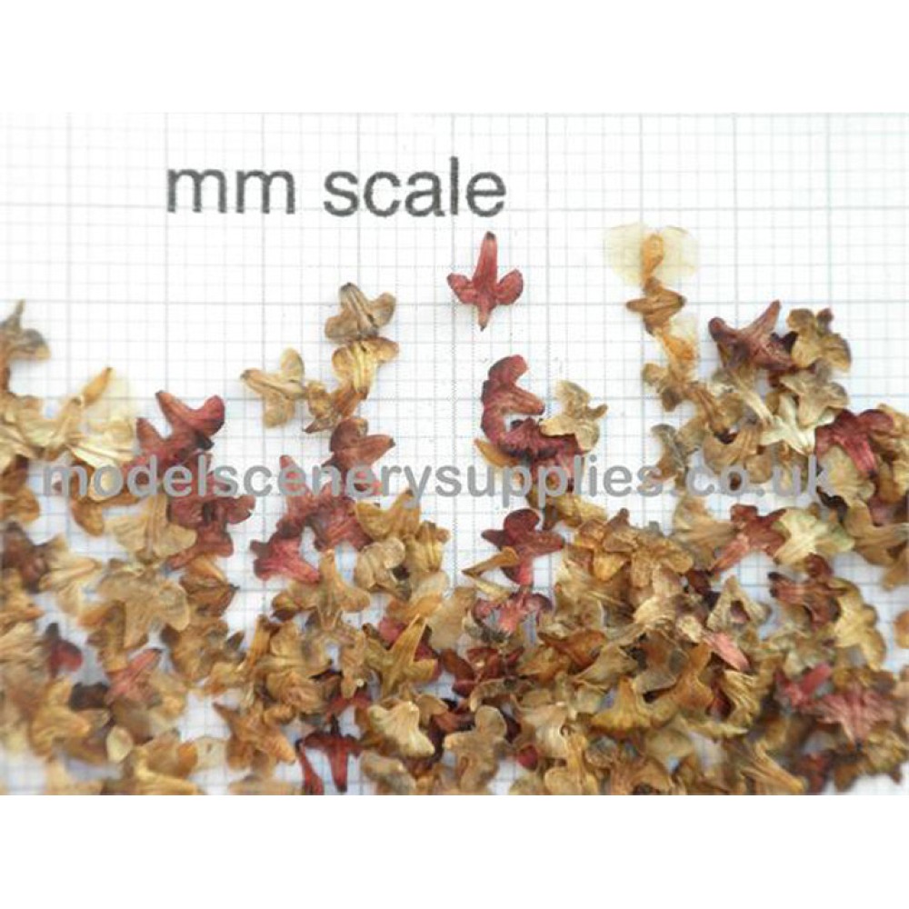 miniature-model-leaves-natural