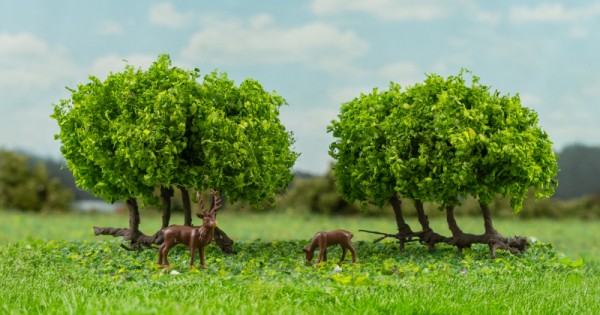 Model Railway Trees for a Wooded Tree Copse