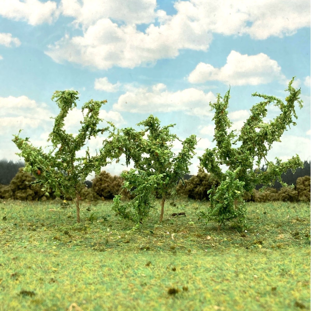 Model Trees