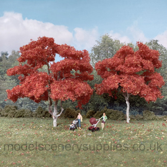 Red Maple Trees Large 100mm tall