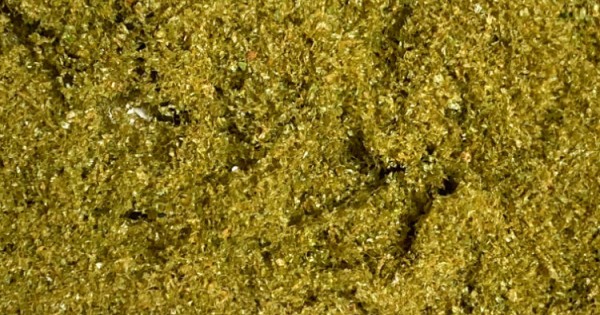 Model Clump Foliage Coarse Light Green