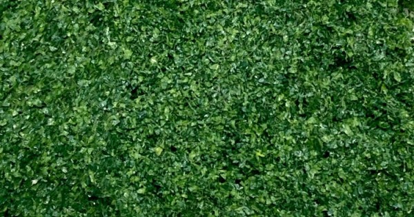 Model Clump Foliage Coarse Light Green
