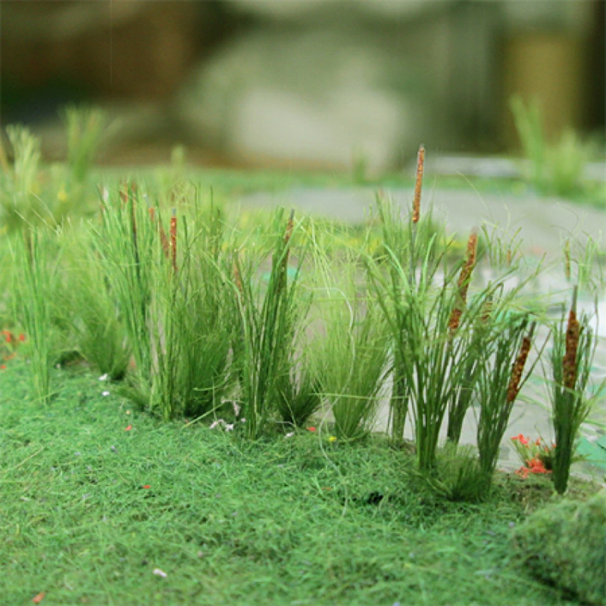 Scale model Plants and Flowers