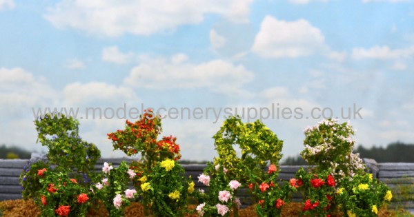 Model railway English Roses TT and OO