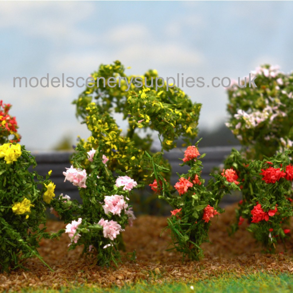 Model Roses OO / TT