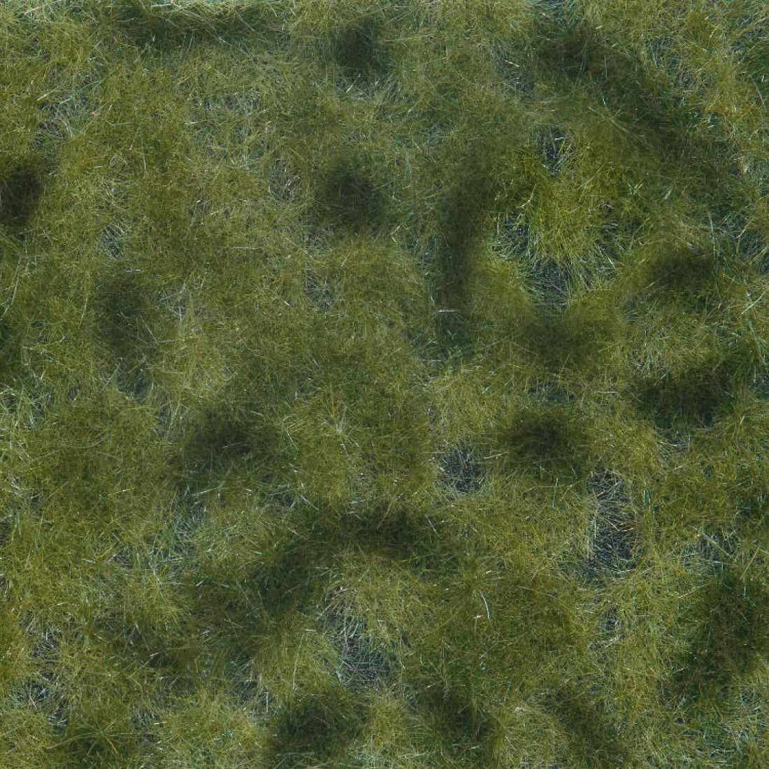 Model static grass Ground Cover Medium green Noch 07250