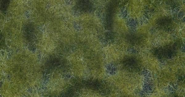Model static grass Ground Cover Medium green Noch 07250