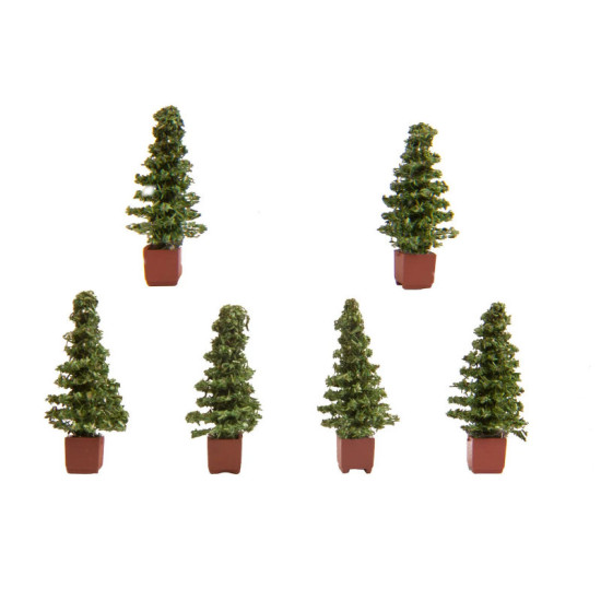 Model box tree in pot