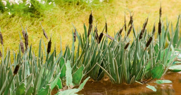 laser-cut-minis-reeds-oo