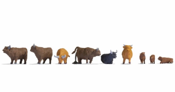 Model railway Cows, Highland Cattle OO